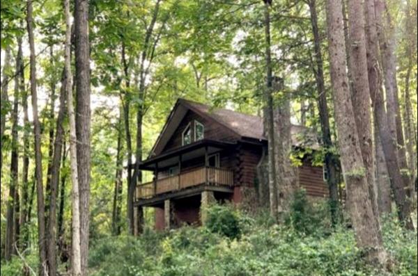 Cozy Forest Cabin Surrounded By Trees Near Stone Mountain State Park, North Carolina - North Carolina