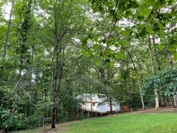 Glamping At Paradise Point In Signal Mountain, Tn - Signal Mountain, TN