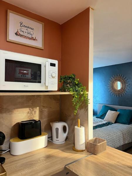 Appartement Grenouillit, Hyper Centre Du Puy - Brives-Charensac