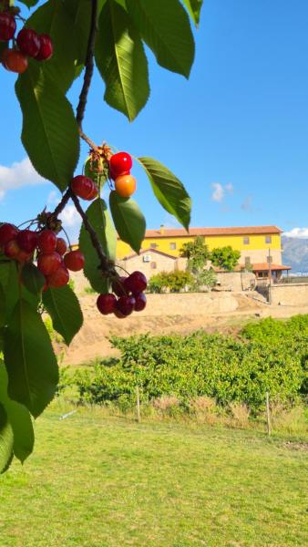 Quinta Do Limite - Agroturismo - Ferro