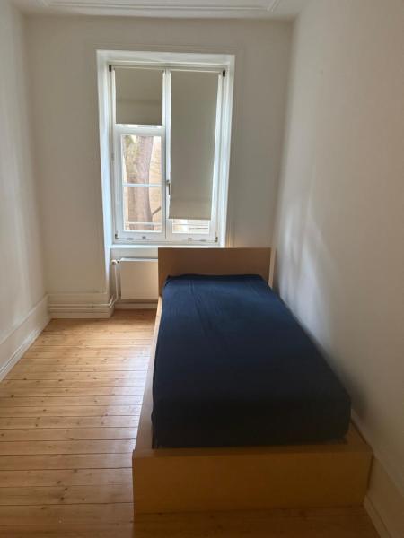 Basel Shared Apartment - Basel