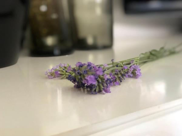 Apartment Lavanda - Mostar