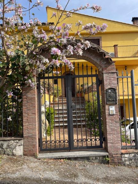 Villa Orchidea - Praia a Mare