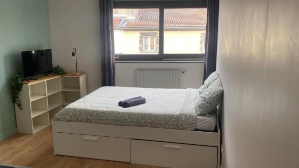 Le Saint-pierre - Studio Centre Ville - Clermont-Ferrand