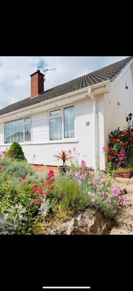 Cosy Room In North Petherton - Bridgwater
