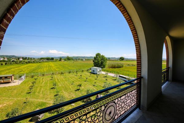 Olive Farmhouse - Vorë