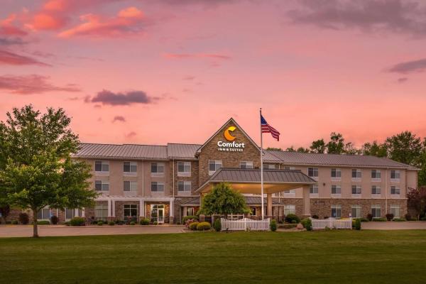 Comfort Inn & Suites Dover - USA
