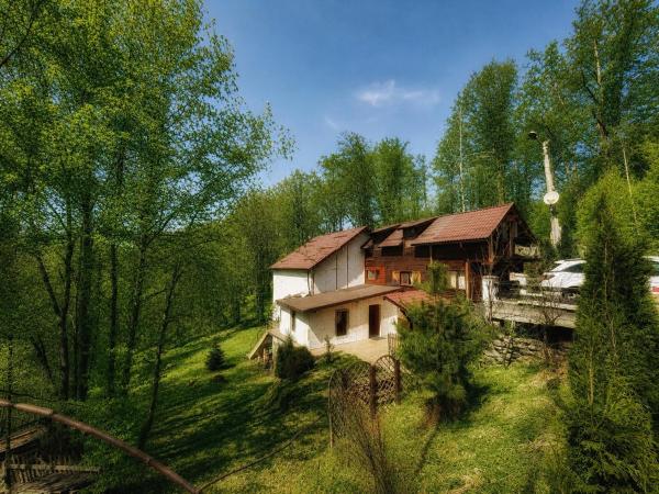 Chalet Nomad - Transilvania