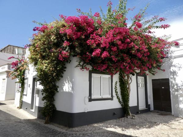 Beguest Tavira Colinas Da Boavista - Tavira