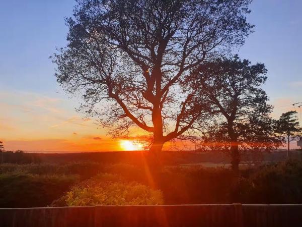 Farmhouse Lodge- Adults Only - Petersfield