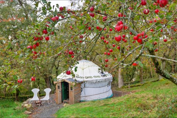 Mountain Yurt Retreat - 4x4 Drivers Only! - Barmouth