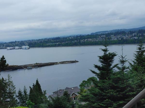 Quiet Ocean View Open Concept, Loft Style Studio Within Forested Area, Near Parks & Ferry - Nanaimo