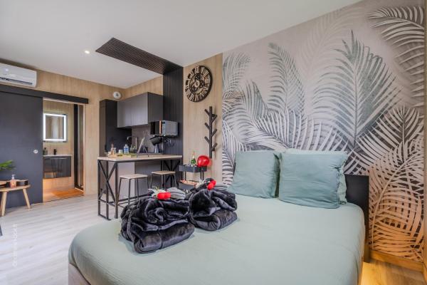 La Briardine - Jacuzzi - Netflix - Proche Disney - Le Parc des Félins - Lumigny