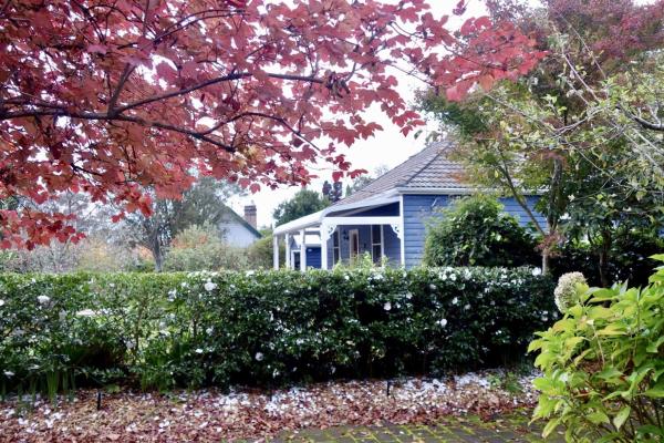 Poets Cottage Fireplace Spa Bath Scenic Treks Pet Friendly