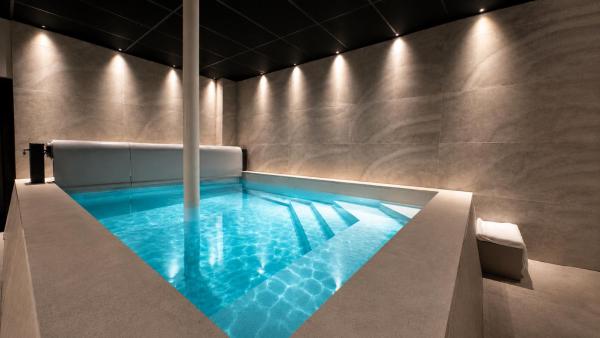 Villa Avril Gîte Privé Luxe 15 Pers- Deux Piscines Intérieure, Extérieure-sauna -Proche Europapark - Colmar