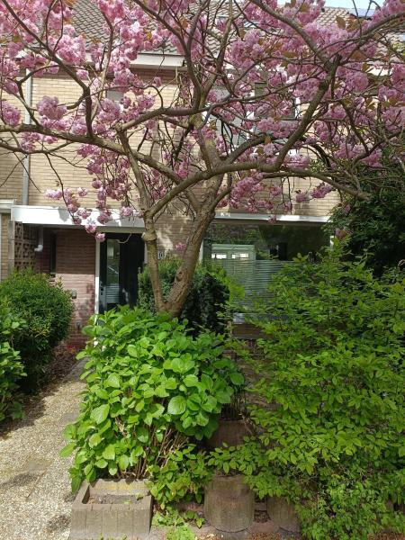 B&b Het Heusje - Purmerend