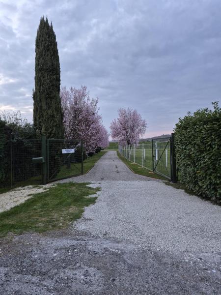 B&b Pizziconi Relax - Radda in Chianti