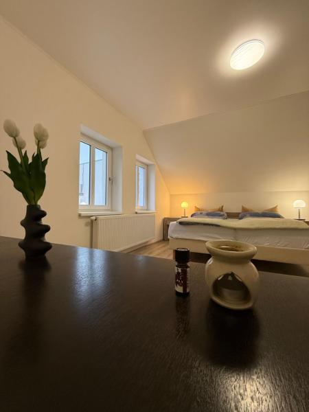 Big Room In City Center At Historic Wenceslas Sq - Prague