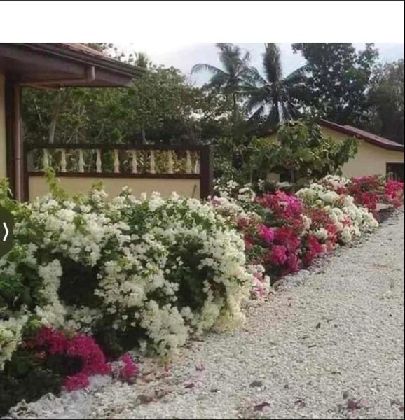Garden Inn - Santander
