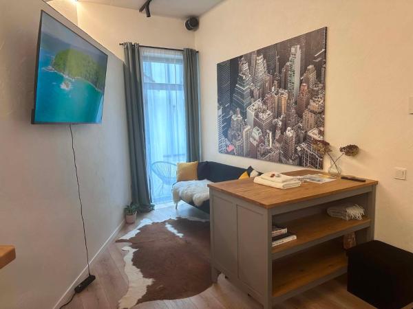 Small Loft Type Apartment - Vilnius