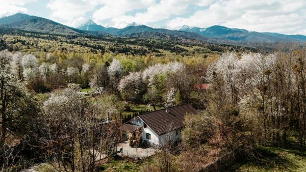 Rivär Retreat - Sâmbăta de Sus