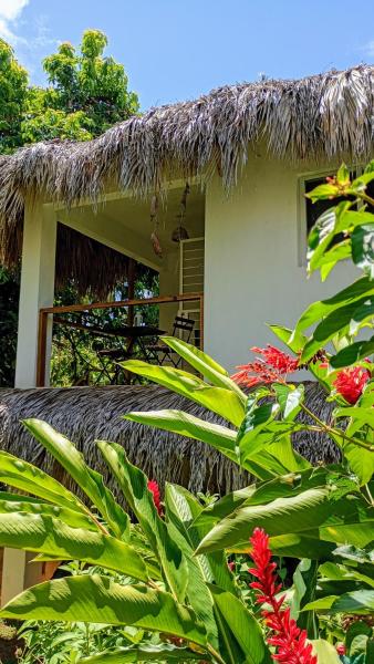 Quédate Aquí - Dominica