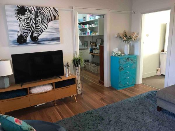 Cute In The City - Taranaki