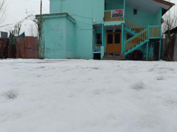 Laila Paying Guest House - Srinagar