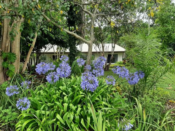 Country Cottage In Imbil - Mary Valley - ノーサ・シャイア