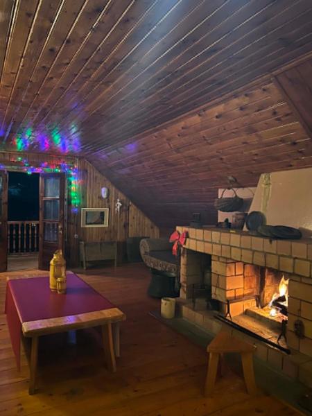 Vacation Home Bagira - Georgia