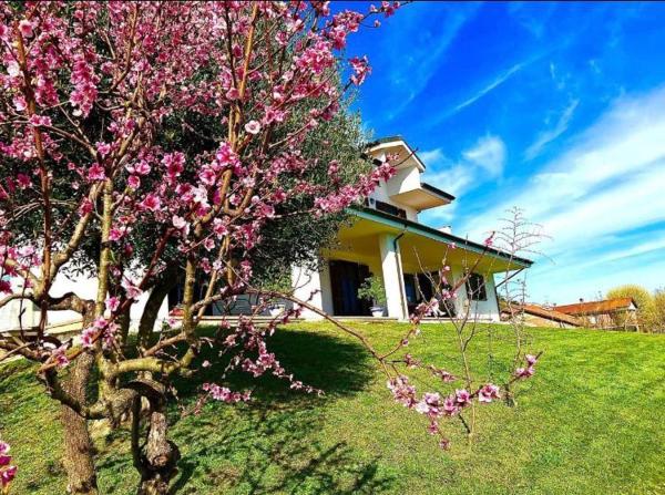 Villa Teodolinda - Bra