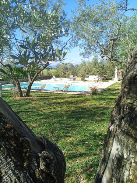 Uliveto Benedetti - Umbria