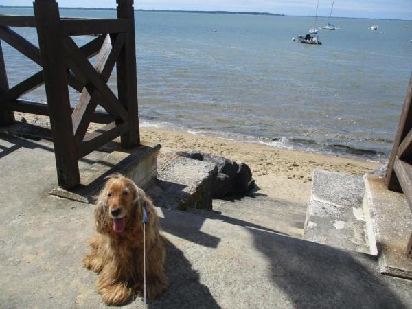 50m Mer, Profiter à Fond Petits Plaisirs De Mer - Saint-Trojan-les-Bains