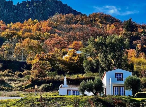 Casas De Marvão - Queixos I - Marvão