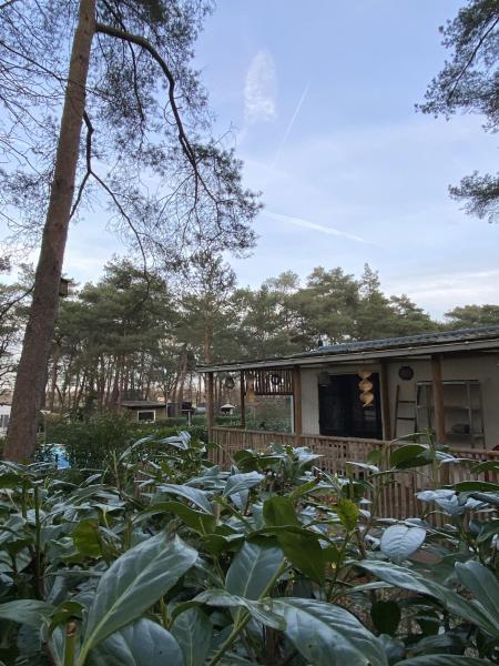 Recreatiepark Klein Zwitserland - Zomereik - Hoogeveen