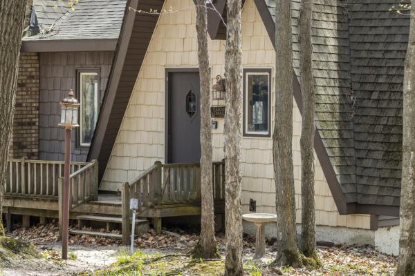 Hillside Chalet At Top Of Schuss - Mancelona, MI