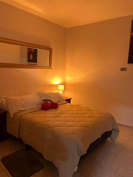 Departamento Cherry - Xalapa