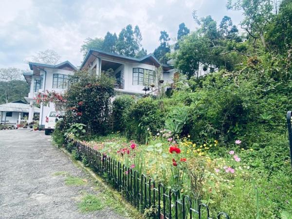 Grey Dove Homestay - Sikkim