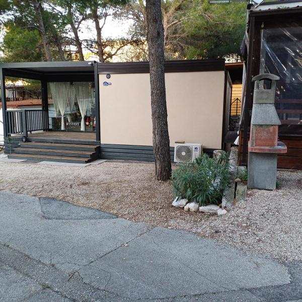 Maja Vita _ Maja - Biograd na Moru