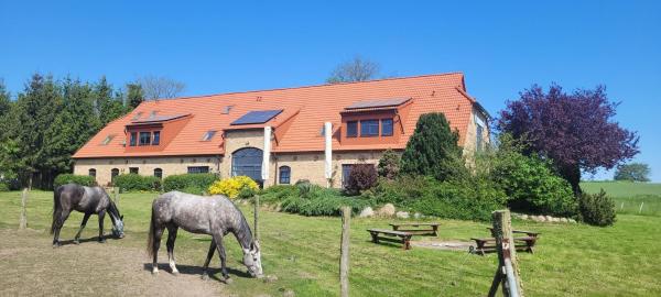 Heu-ferienhof Altkamp - Rügen
