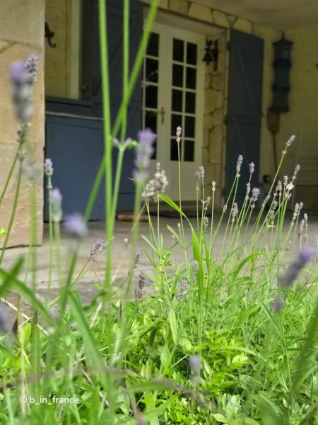 Vacances Castellane - Castellane