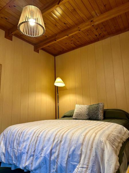 Araucaria, Casa Patagonica - El Calafate