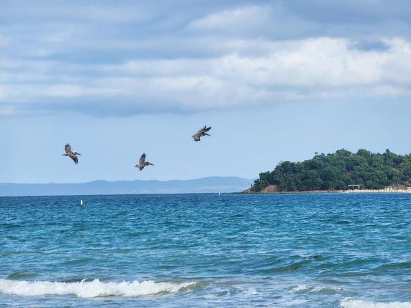 Vista Azul Apartment - Naguabo