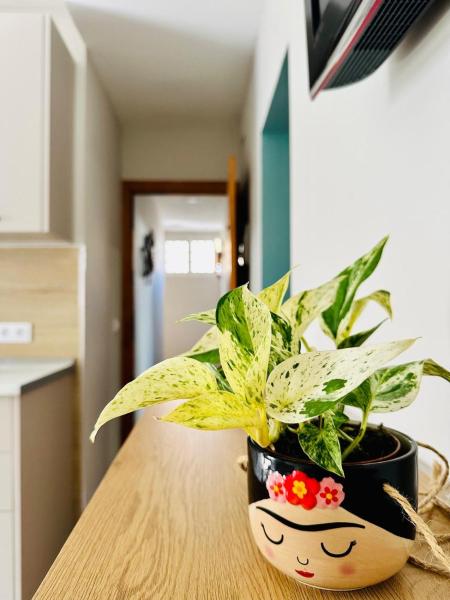 Apartamento Las Conchas - Cádiz