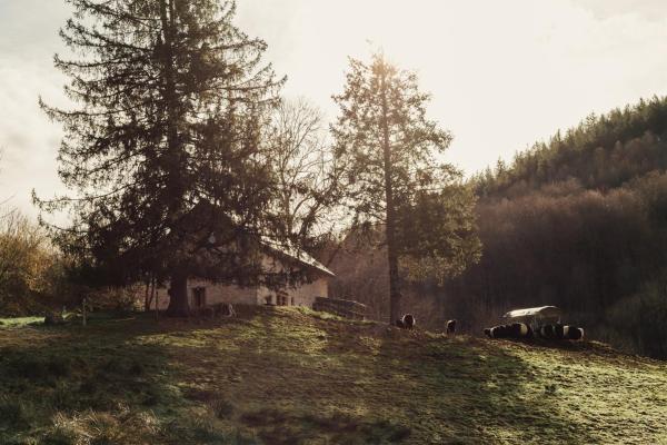Chez-judith - Pyrénées