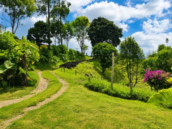 Ecohostal Las Hamacas - Manizales