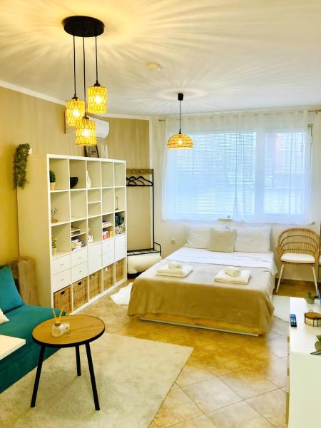 Cozy & Colourful 1 Bdr Apartment With Free Street Parking - Rose Valley