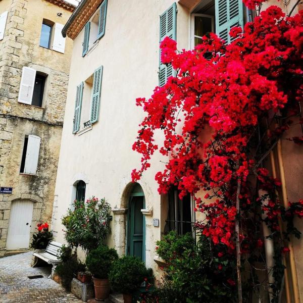 Azur Et Vous En Provence - Le Castellet