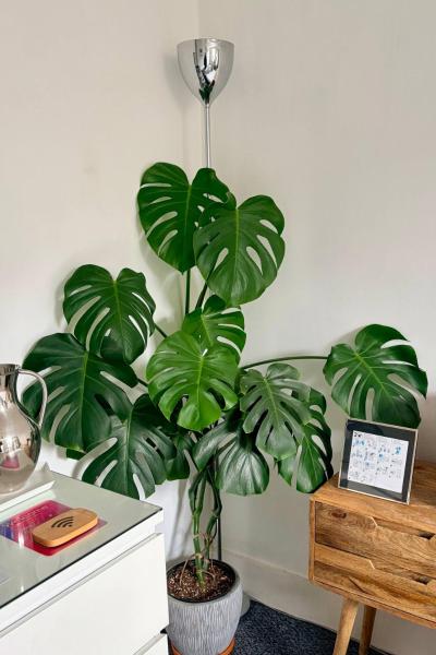 Lovely Room In Brixton - Londres