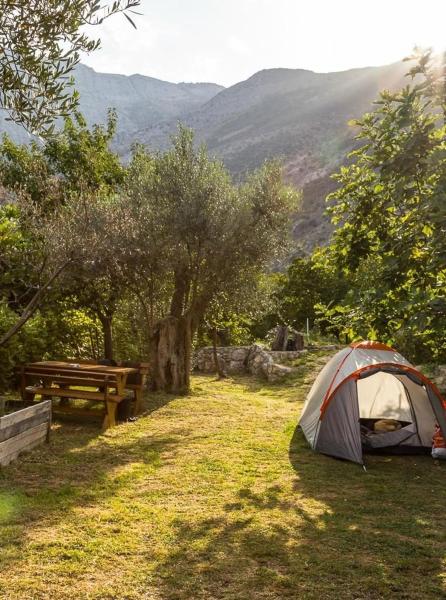 My Olive Garden Camp - Montenegro